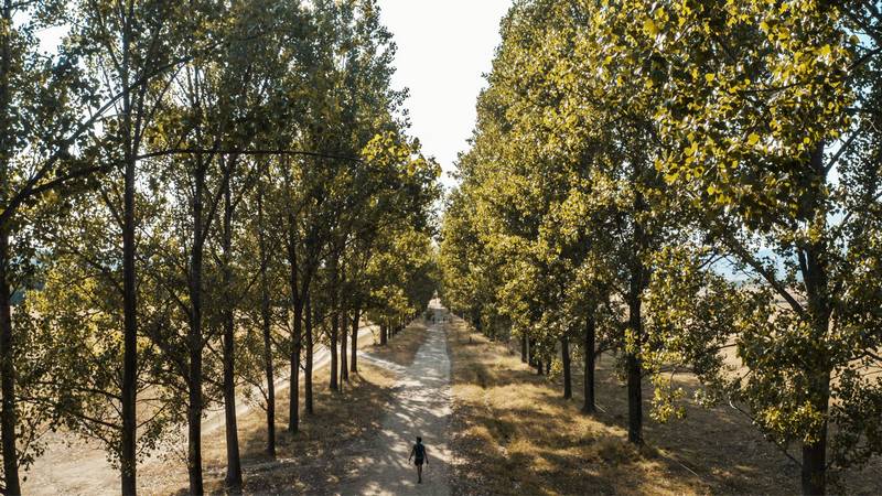 Terra Dacica | Via Transilvanica