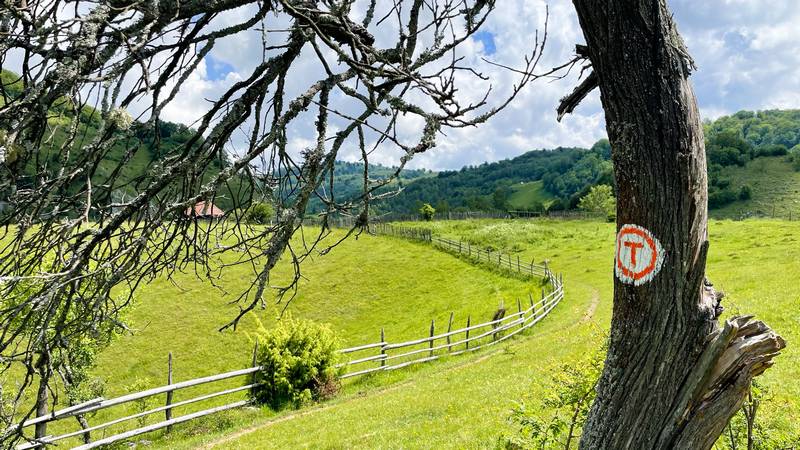 Terra Dacica | Via Transilvanica